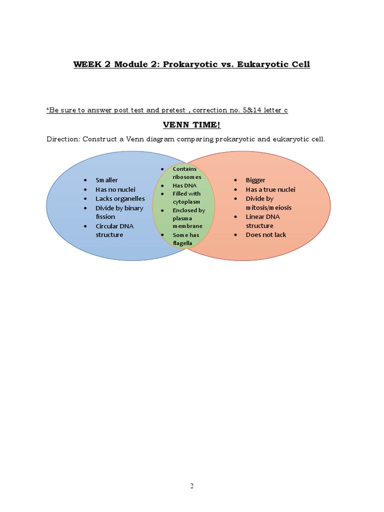 Prokaryotic And Eukaryotic Cells Venn Diagram