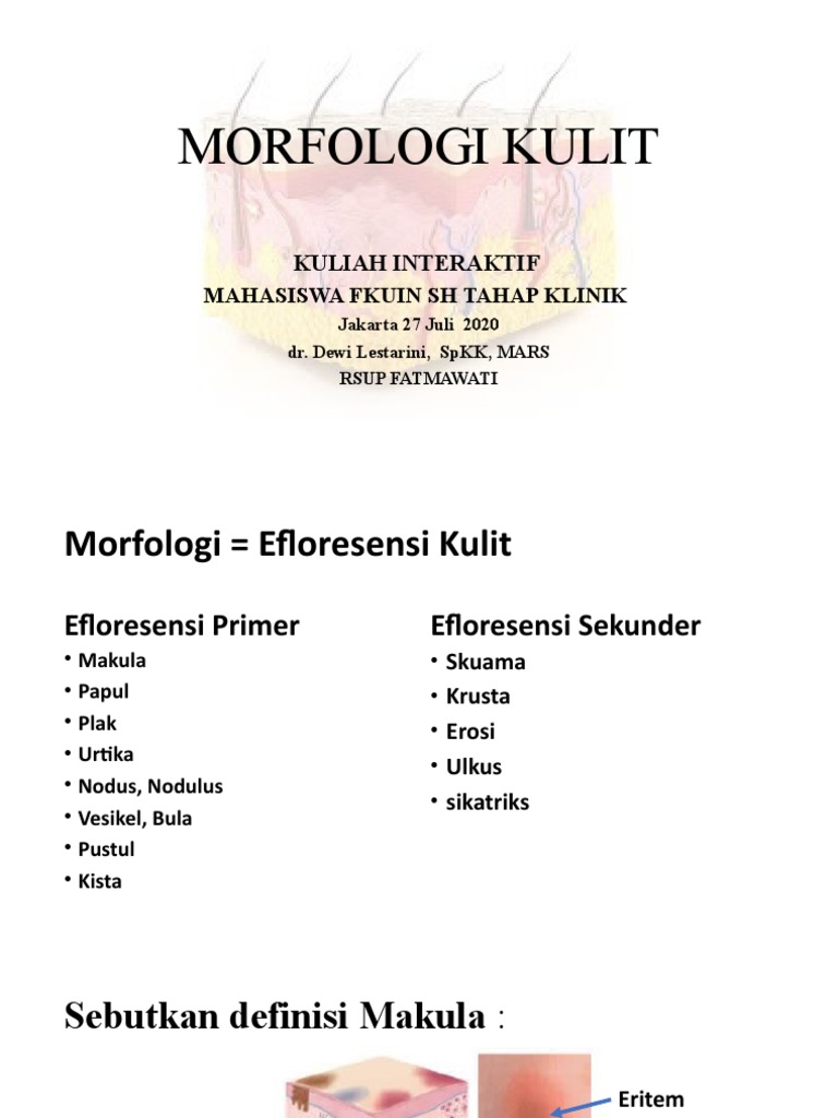 Kuliah Morfologi Kulit | PDF