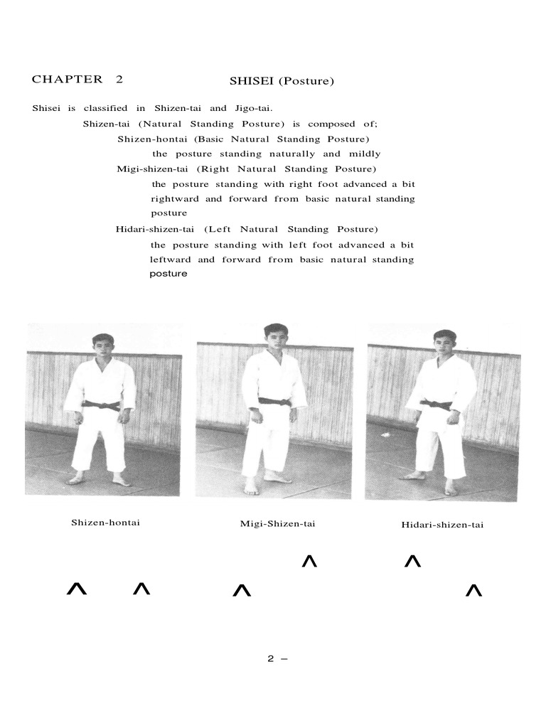 Judo Shizen Tai, Jigo Tai | PDF