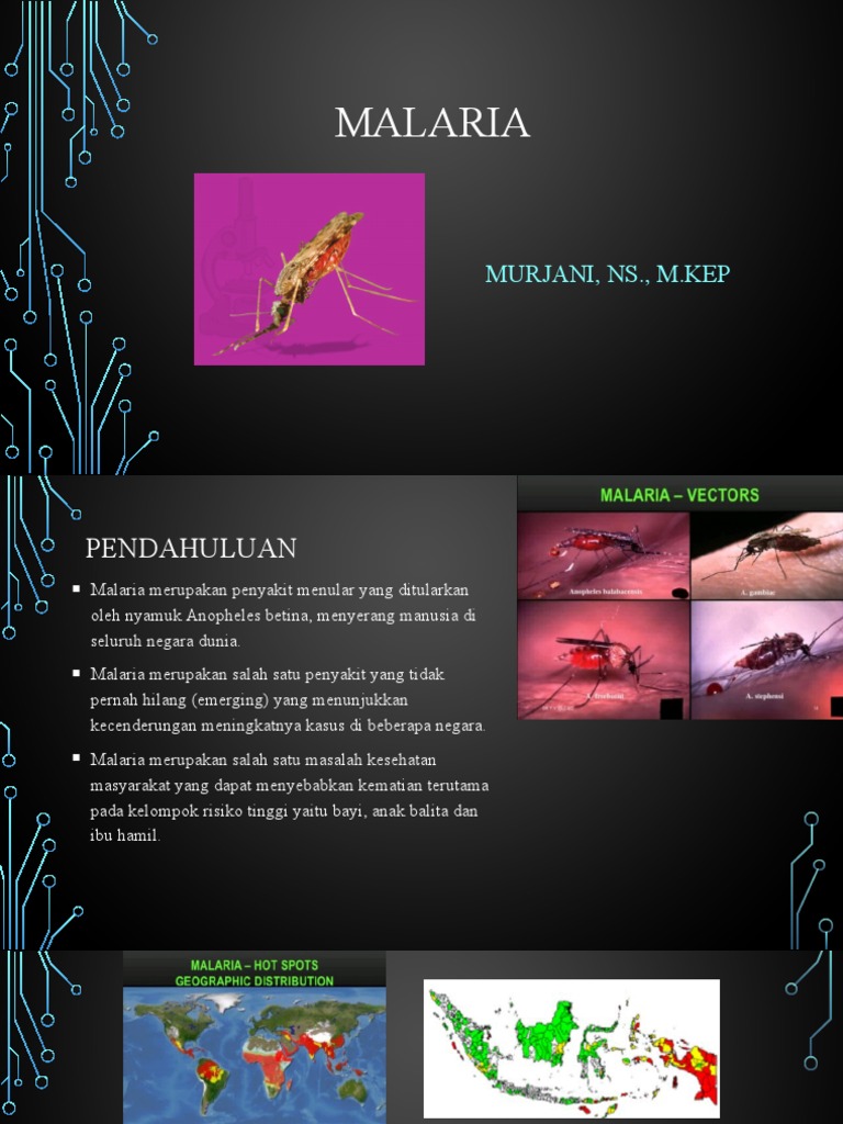 Panduan Lengkap Malaria dan Penanganannya | PDF | Kesehatan Holistik