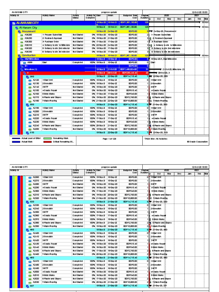 Activity Progress Report | PDF | Periodicals | Arabs