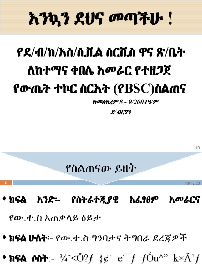 BSC Zone+woreda TOT | PDF