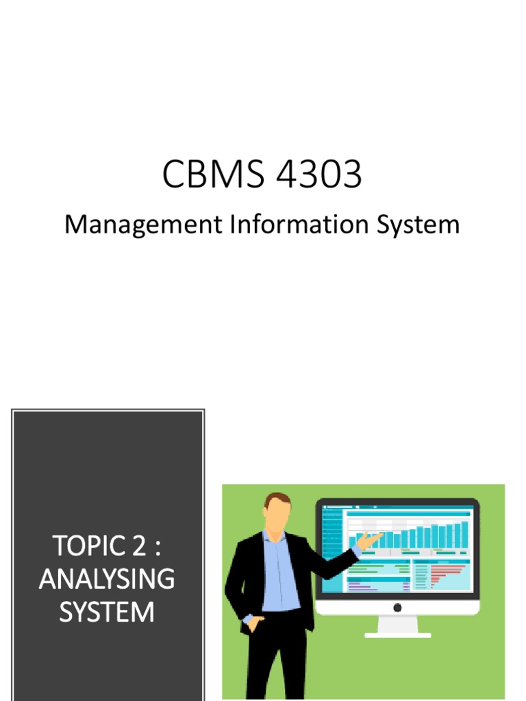 Management Information System | PDF | System | Conceptual Model