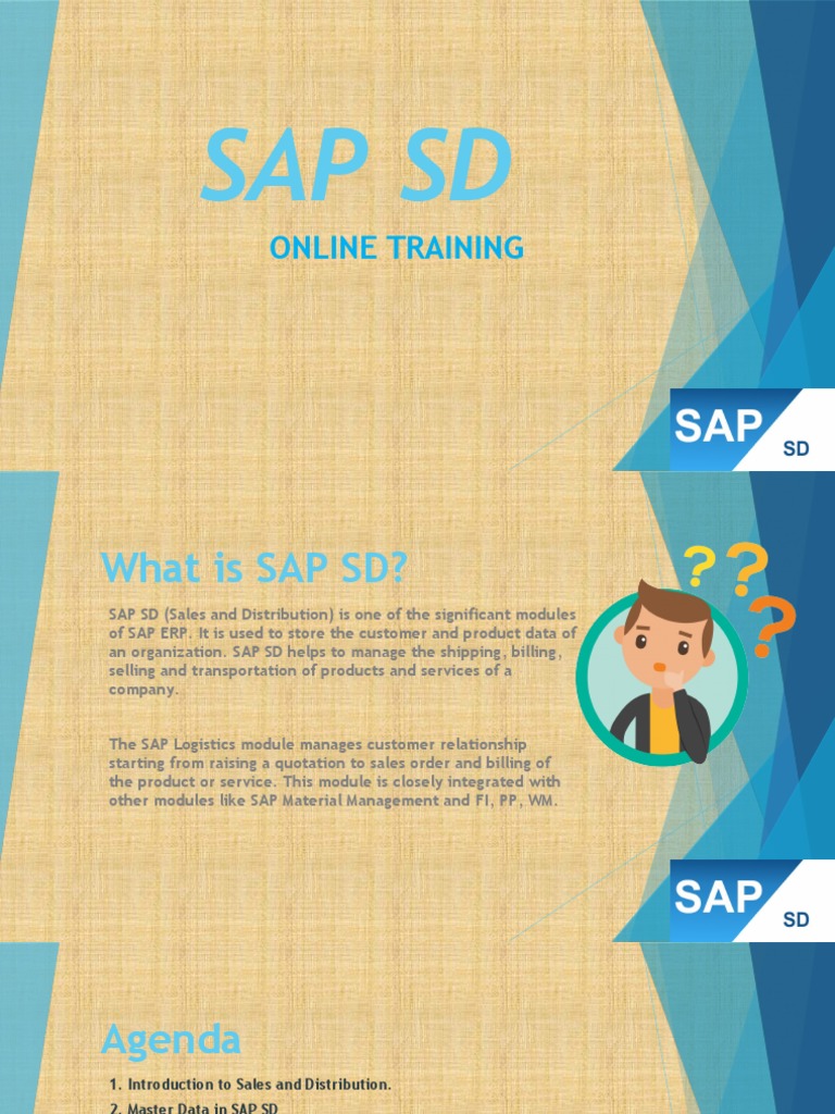 SAP SD Online Training | PDF | Information Technology Management | Business