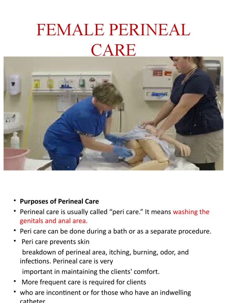 Female Perineal Care | PDF