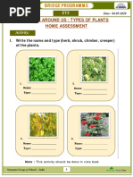 Agri Lesson 5 - Types of Orchard Farm | PDF | Trees | Fruit
