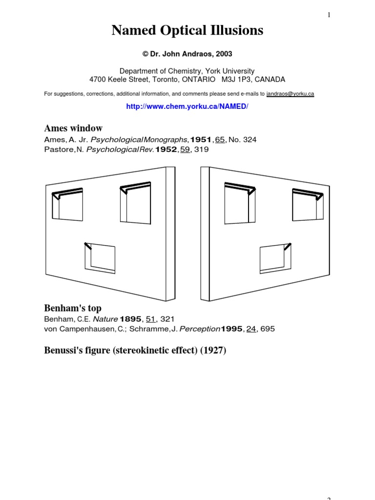 Optical Illusions | PDF | Senses | Visual System