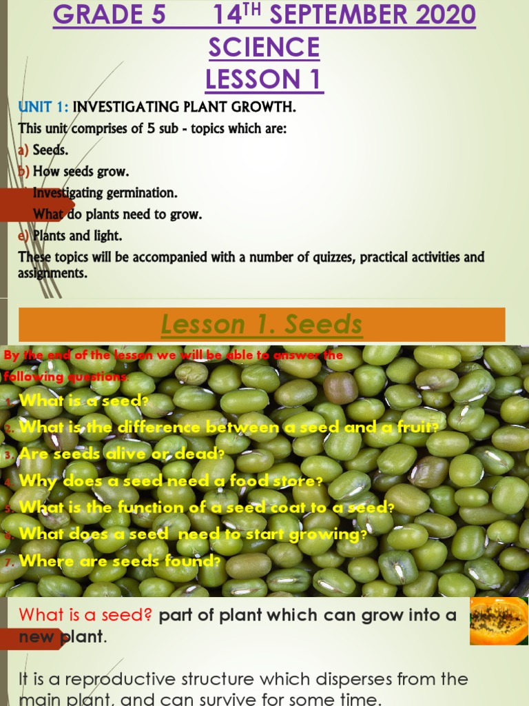 Grade 5 Science Lesson 1 SEEDS | PDF