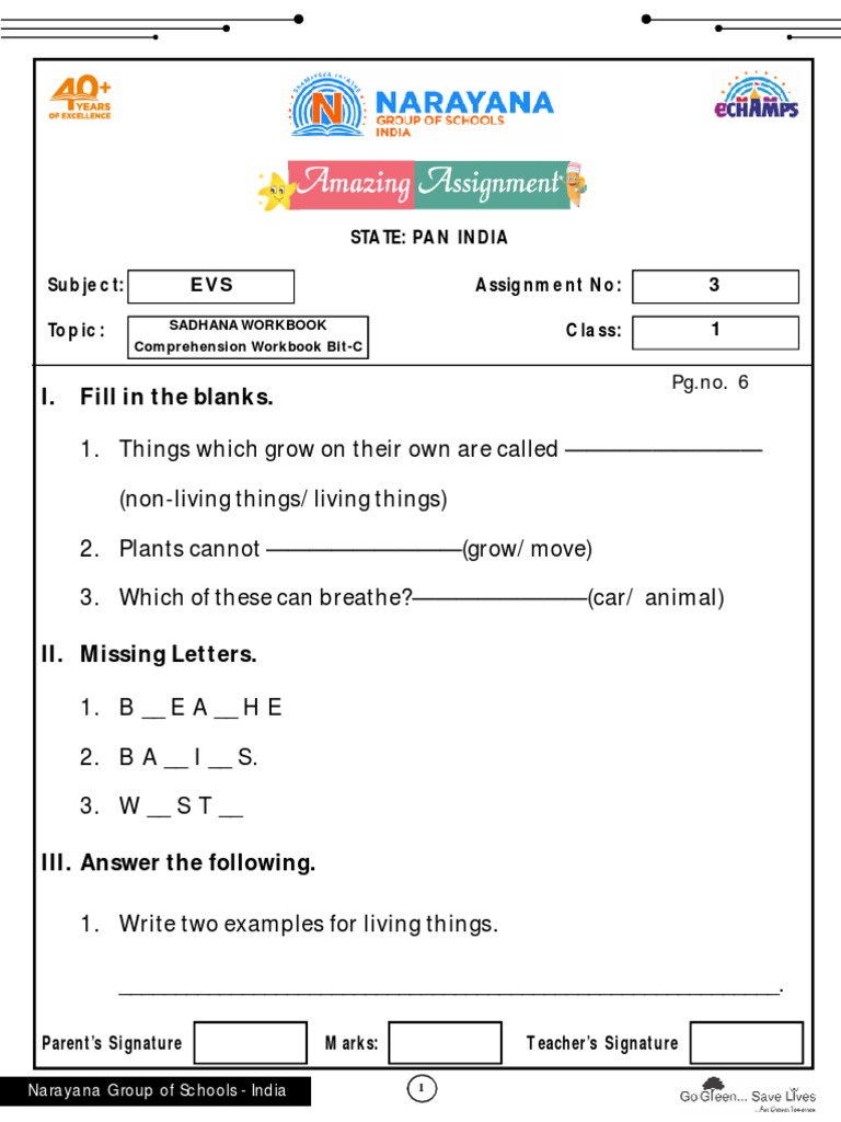 Class 2 Worksheet No PDF | PDF