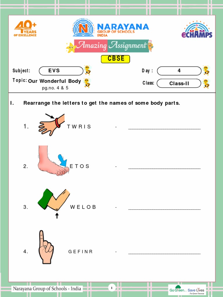 Class 2 Worksheet No PDF | PDF