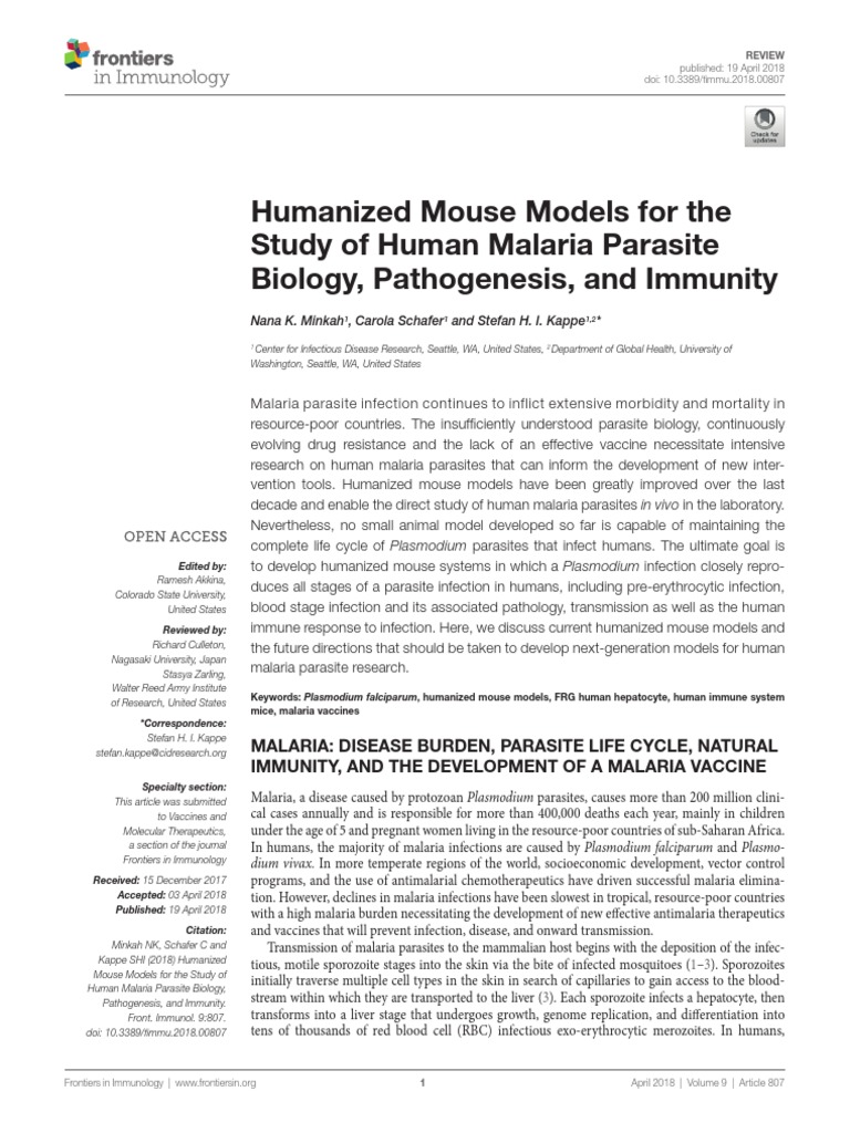 Humanized Mouse Models For The Study of Human Malaria Parasite Biology ...