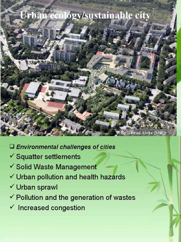 Urban Ecology for Sustainable Cities | PDF | Urbanization | Sustainability