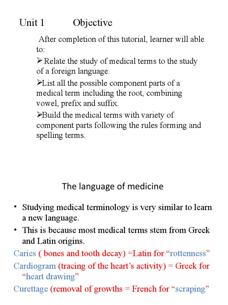 Unit 1 Basic Word Structure | PDF