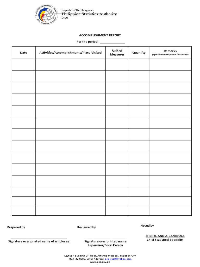 Daily Accomplishment Report Sample | PDF