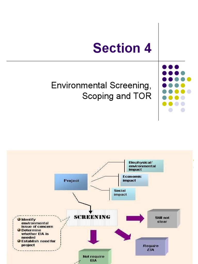 Section 4: Environmental Screening, Scoping and TOR | PDF ...