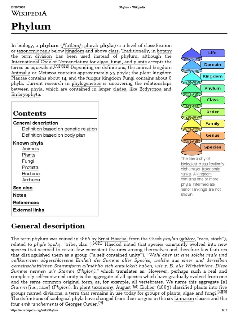 Phylum - Wikipedia | Download Free PDF | Eukaryotes | Biology