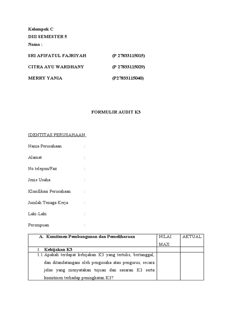Formulir Audit k3 | PDF