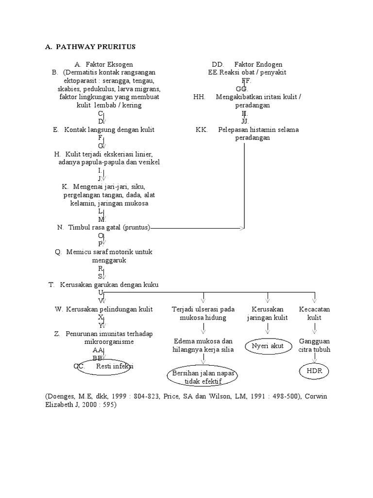 Pathway Pruritus | PDF