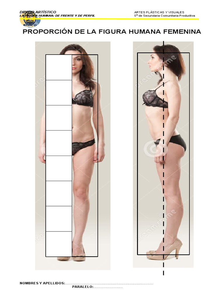 Lámina Figura Humana Femenina | PDF