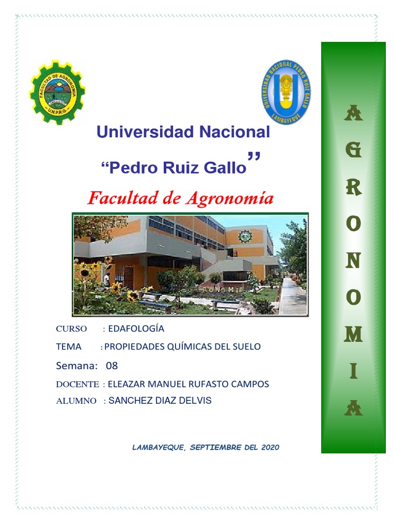 Semana 08 - PROPIEDADES QUÍMICAS DEL SUELO - Sanchez Diaz Delvis PDF | PDF