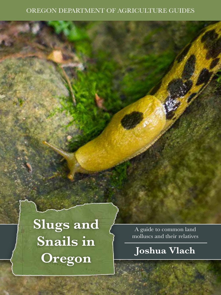 Slugs and Snails in Oregon: Joshua Vlach | PDF | Molluscs | Organisms
