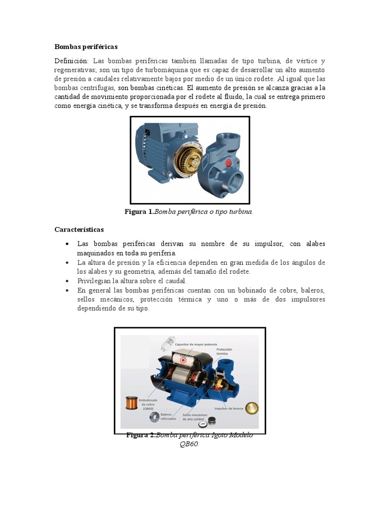 Bombas periféricas: Definición, características y tipos | PDF | Turbina ...