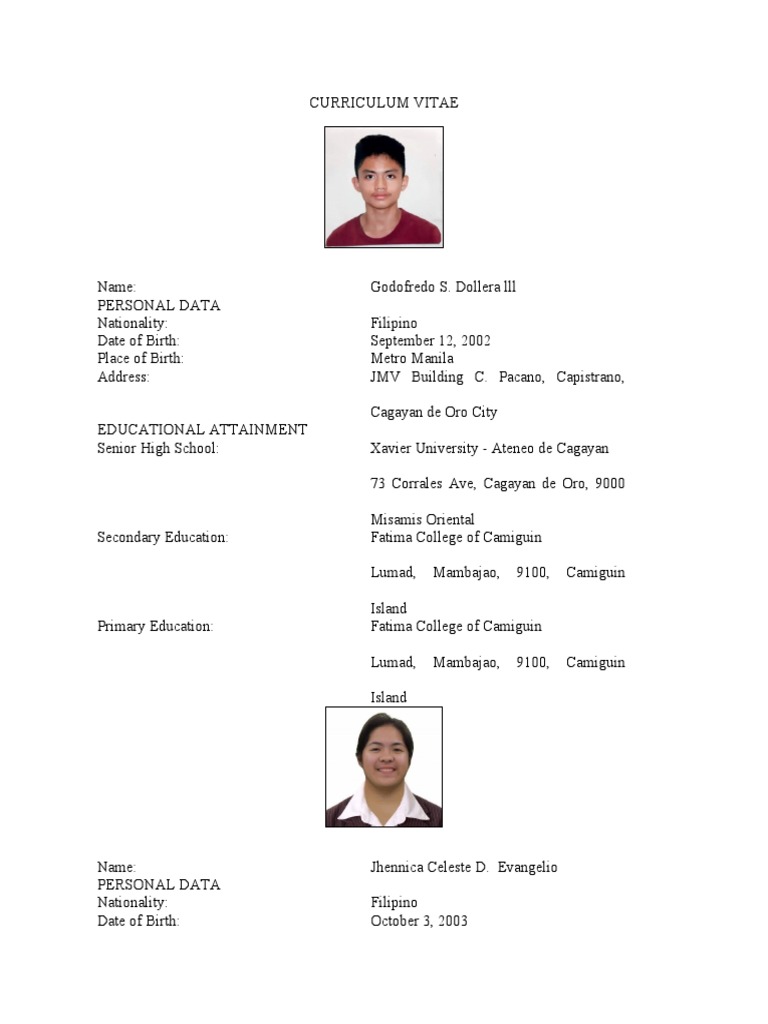 Curriculum Vitae | PDF | Childhood | High Schools And Secondary Schools