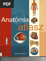 Reflexzóna Atlasz | PDF