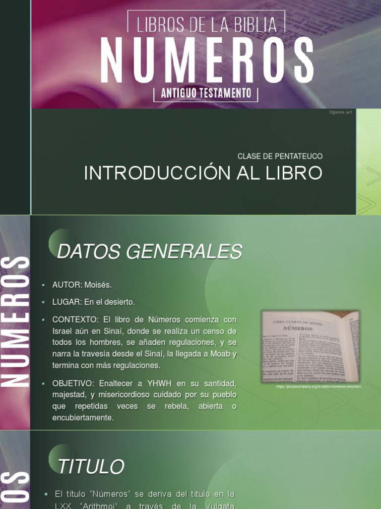 Introduccion A Números | PDF | Libro de números | Península Sinaí