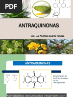 Características y usos de las quinonas | PDF | Metabolismo | Biosíntesis