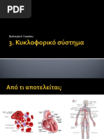 TO ΟΥΡΟΠΟΙΗΤΙΚΟ ΣΥΣΤΗΜΑ-ΑΝΑΤΟΜΙΑ | PDF