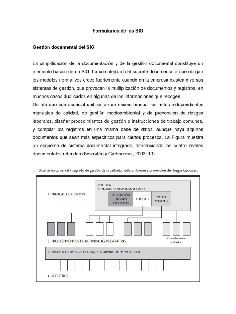 Formularios de Los SIG | PDF | Sistema de información geográfica | Business