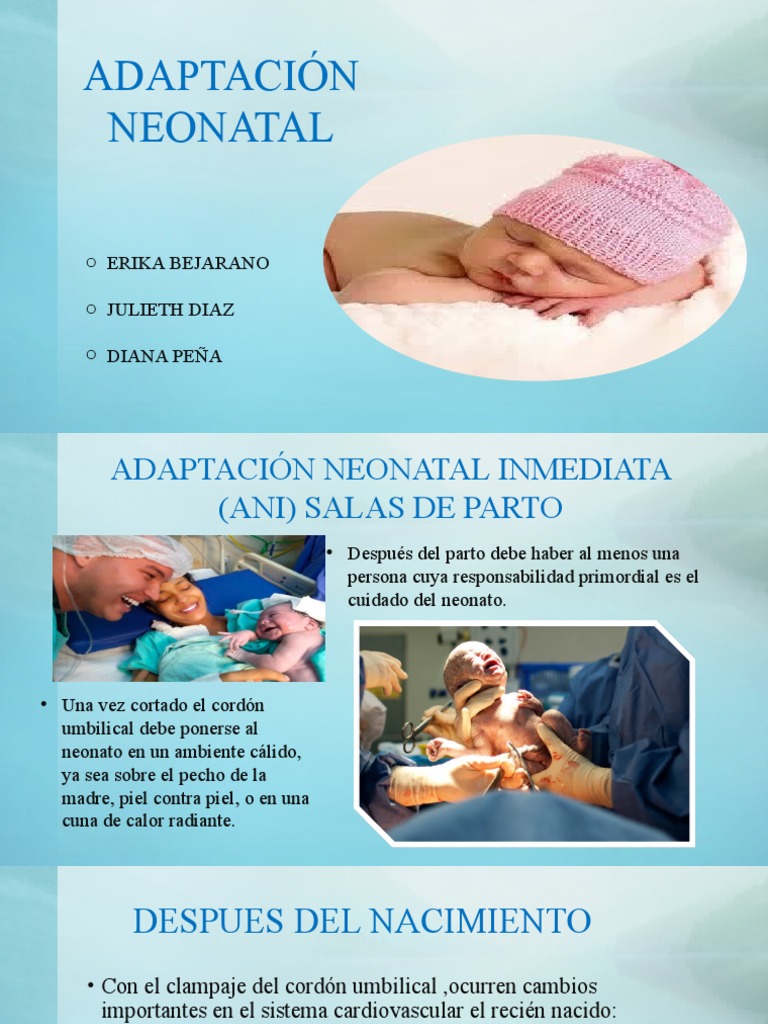 Adaptacion Neonatal Iii | PDF | Infantes | Sistema respiratorio
