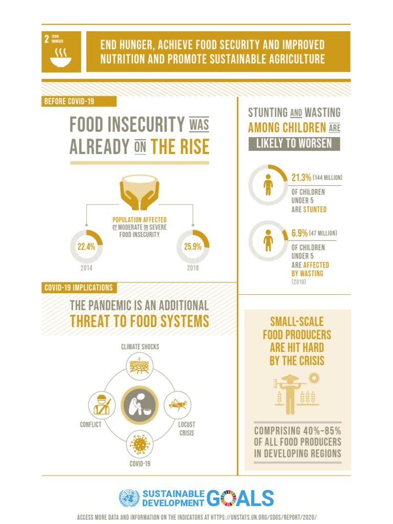 Zero Hunger Infographic | PDF | Hunger | Economies