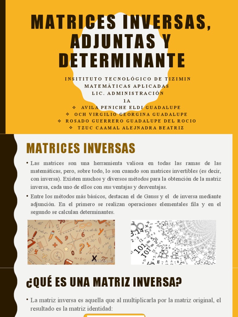 Matrices Inversas, Adjuntas y Determinante | PDF | Matriz (Matemáticas ...
