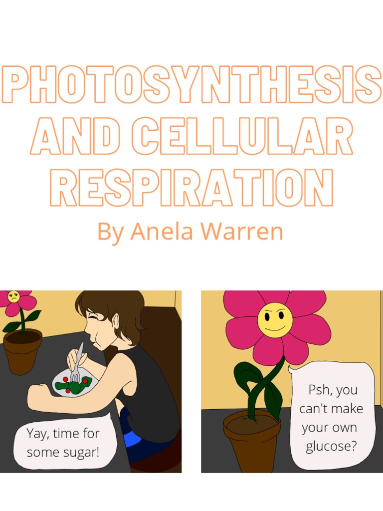 Photosynthesis Comic | PDF