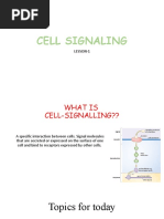 Vital Signs Return Demonstration Script | PDF | Breathing | Pulse