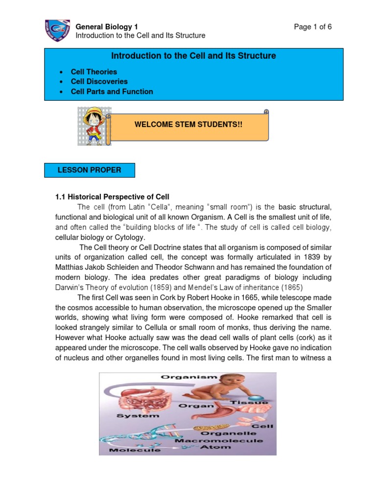 Introduction To The Cell and Its Structure | PDF | Vacuole | Cell (Biology)