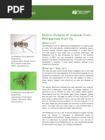 Insect Body Segmentation Guide | PDF | Insects | Arthropodology