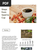 SCAA Score Sheet | PDF | Coffee | Food And Drink