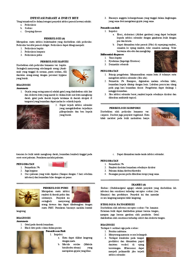 Penyakit Kulit Karena Infestasi Parasit | PDF