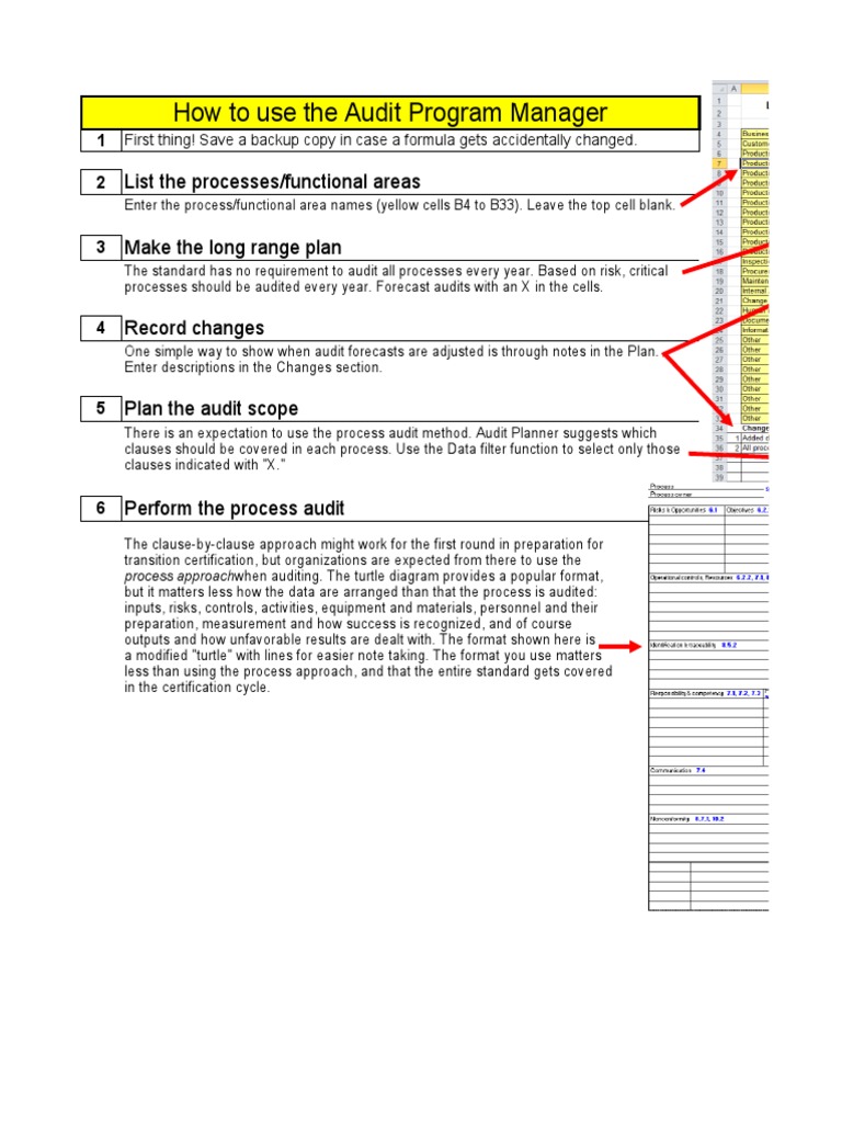 How To Use The Audit Program Manager: List The Processes/functional ...