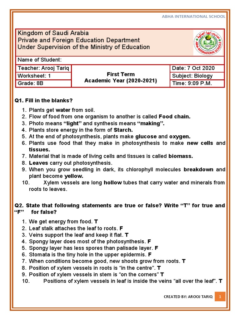 Grade 8 Biology Worksheet No. 1 (2020) | PDF | Leaf | Plants