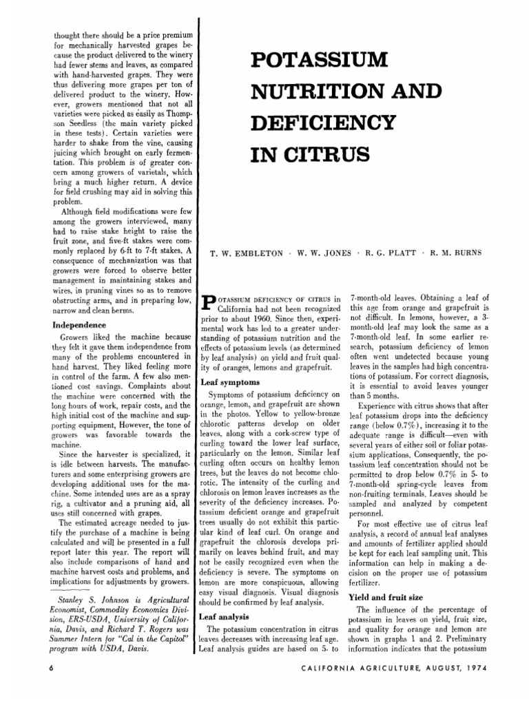 Potassium Deficiency Citrus | Download Free PDF | Orange (Fruit ...