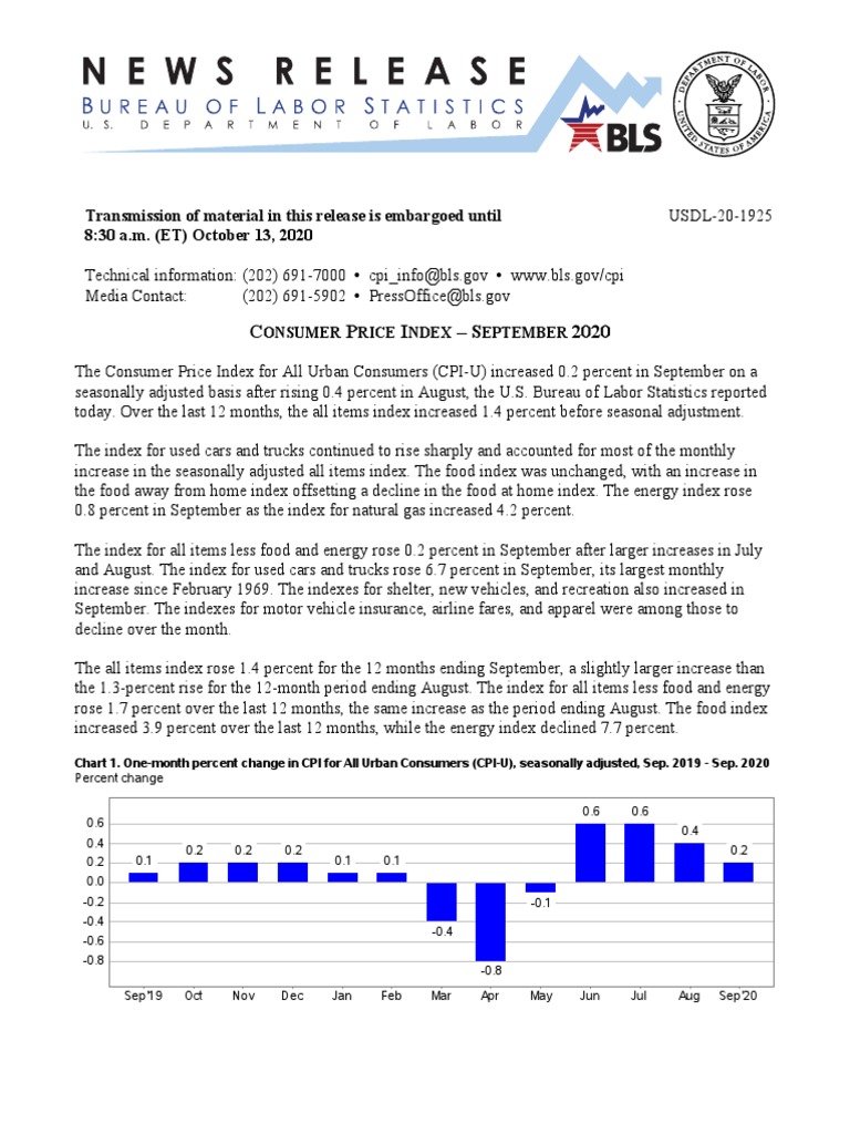 C P I S 2020 Pdf United States Consumer Price Index Consumer