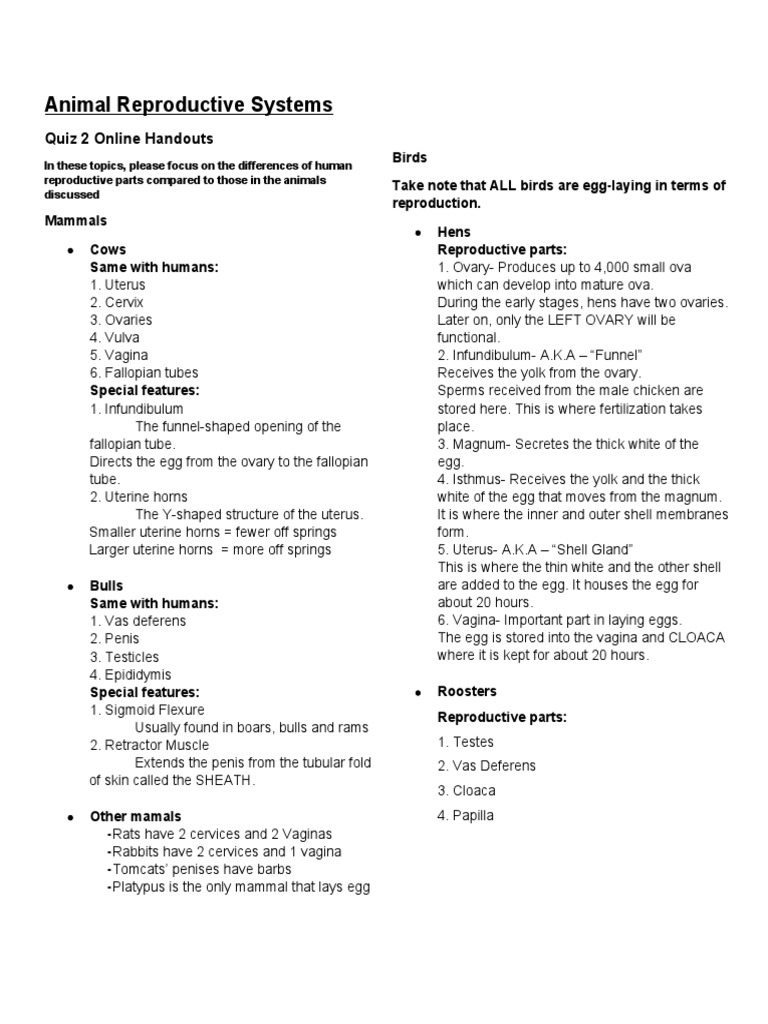Animal Reproductive Systems: Quiz 2 Online Handouts | PDF ...