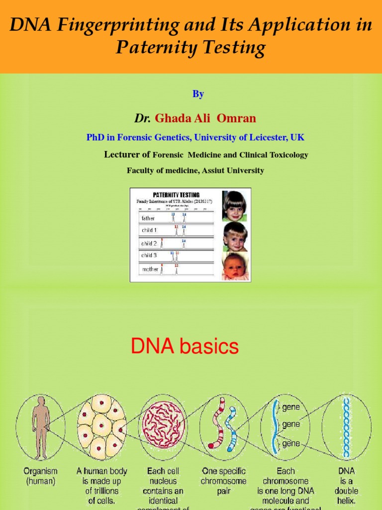 Paternity Testing New PDF | PDF | Microsatellite | Dna Profiling