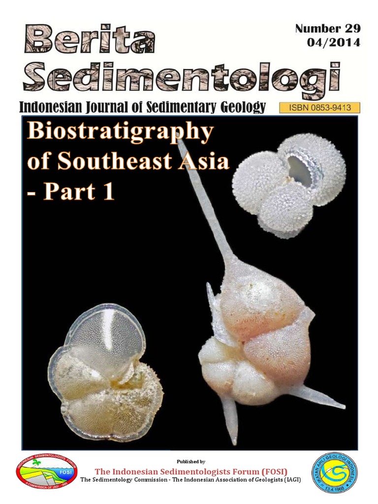 BS29 Biostratigraphy SEAsia M PDF | PDF | Earth Sciences | Science