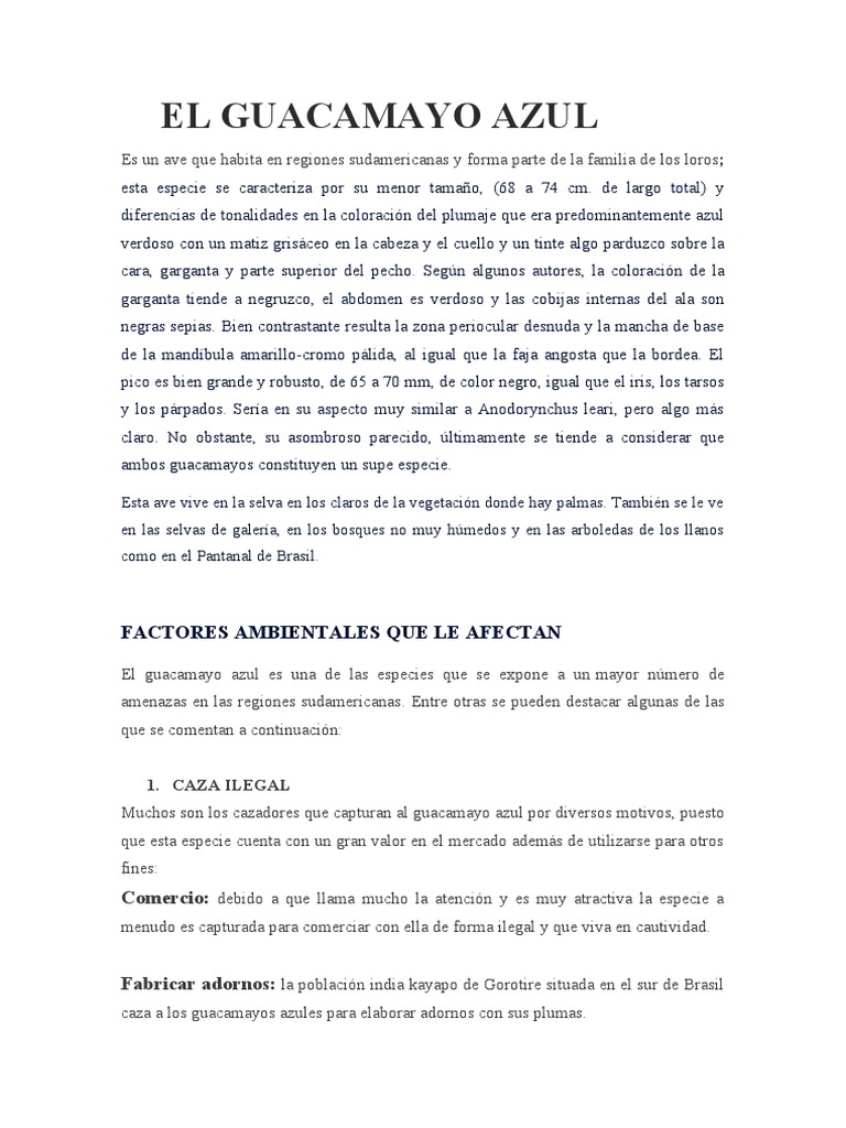 Características y hábitat del guacamayo azul | PDF | Aves | Paravianos