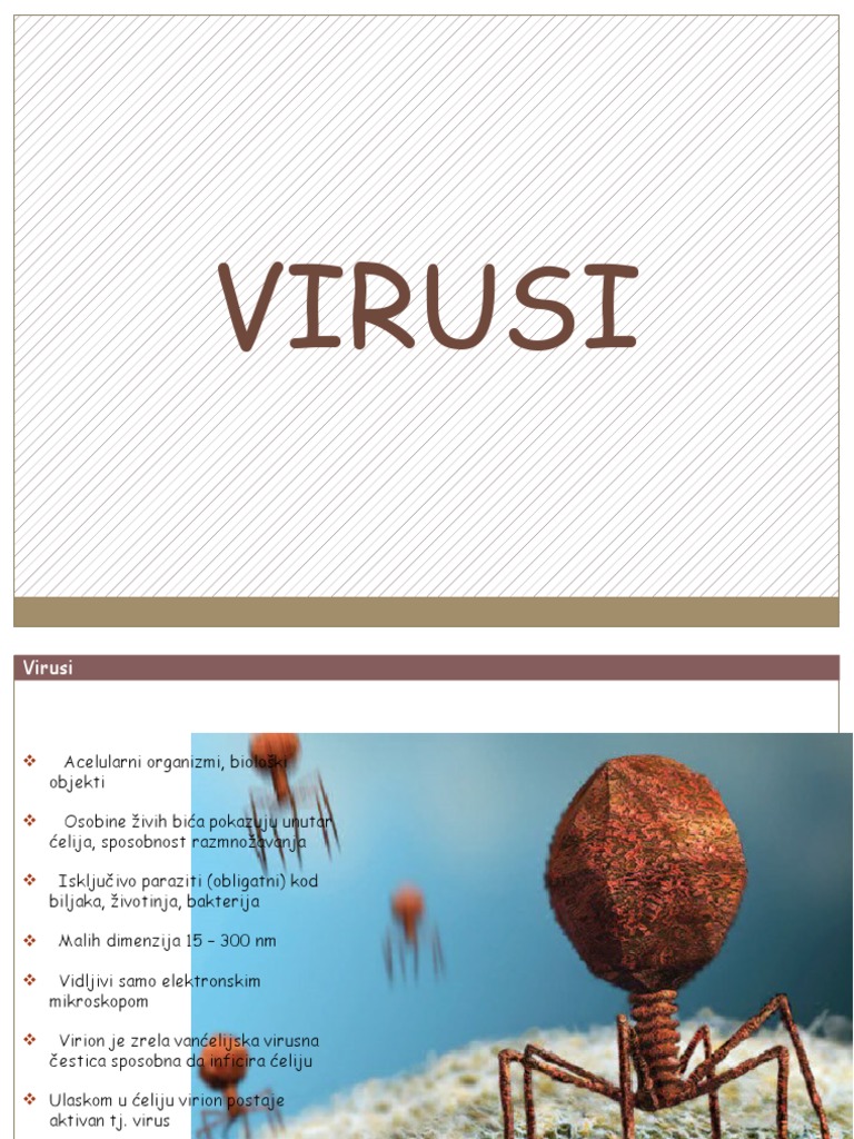 Virusi Scribd | PDF